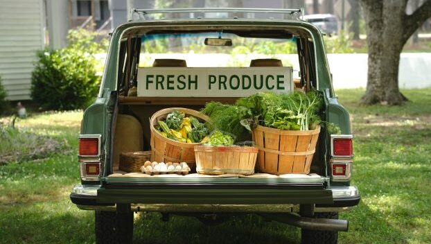New law will impact Charlotte farmers with unregistered vehicles | The ...